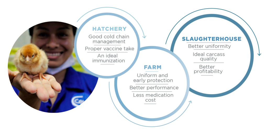 LINILOG® Service - Poultry Ceva