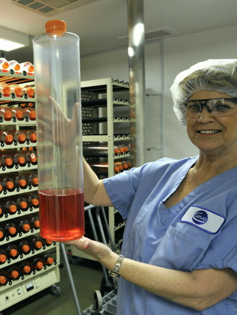 Autogenous vaccines - Ceva Poultry