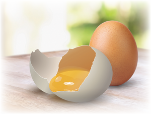 Salmovac® - Ceva Poultry