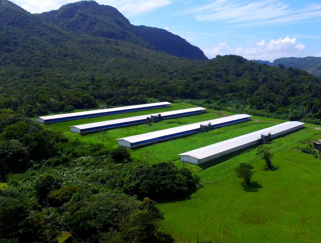 Vaccination services - Ceva Poultry