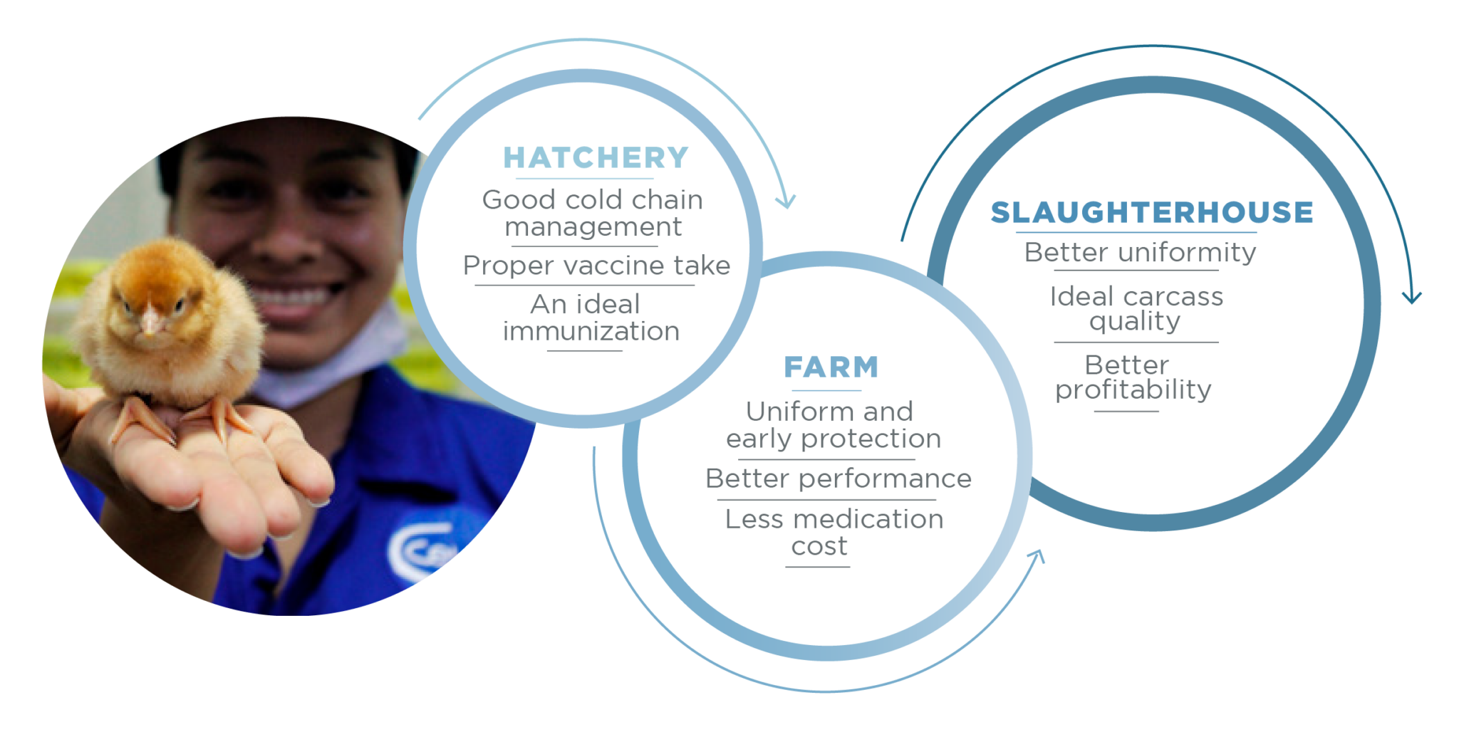 LINILOG® Service - Ceva Poultry