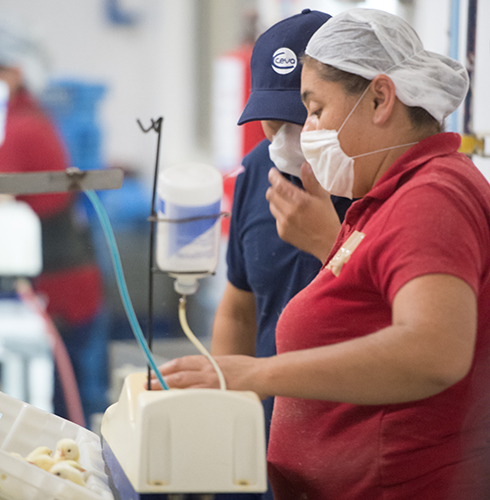 e-Dovac® - Ceva Poultry
