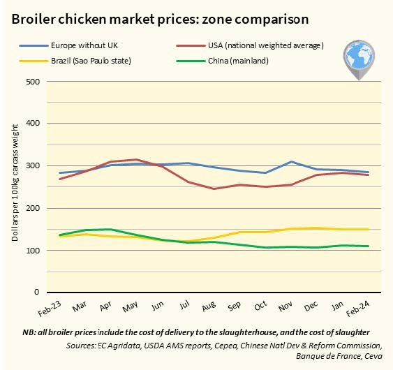 Poultry Market Outlook - February - Ceva Poultry