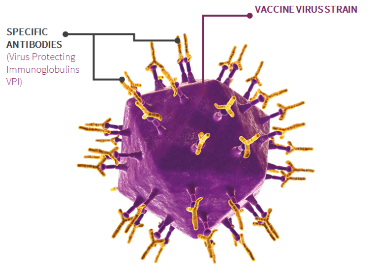 Nextmune® - Ceva Poultry