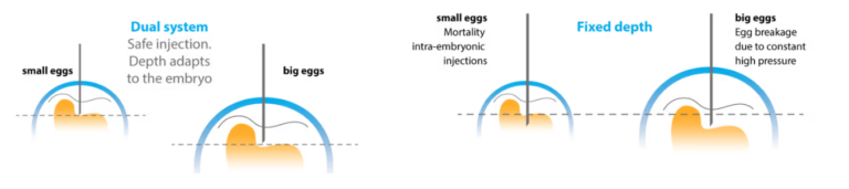 Egginject® - Ceva Poultry